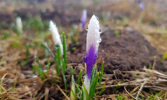 Regnerisch & 18 Grad: So wird das Wetter am Montag im Burgenland ...