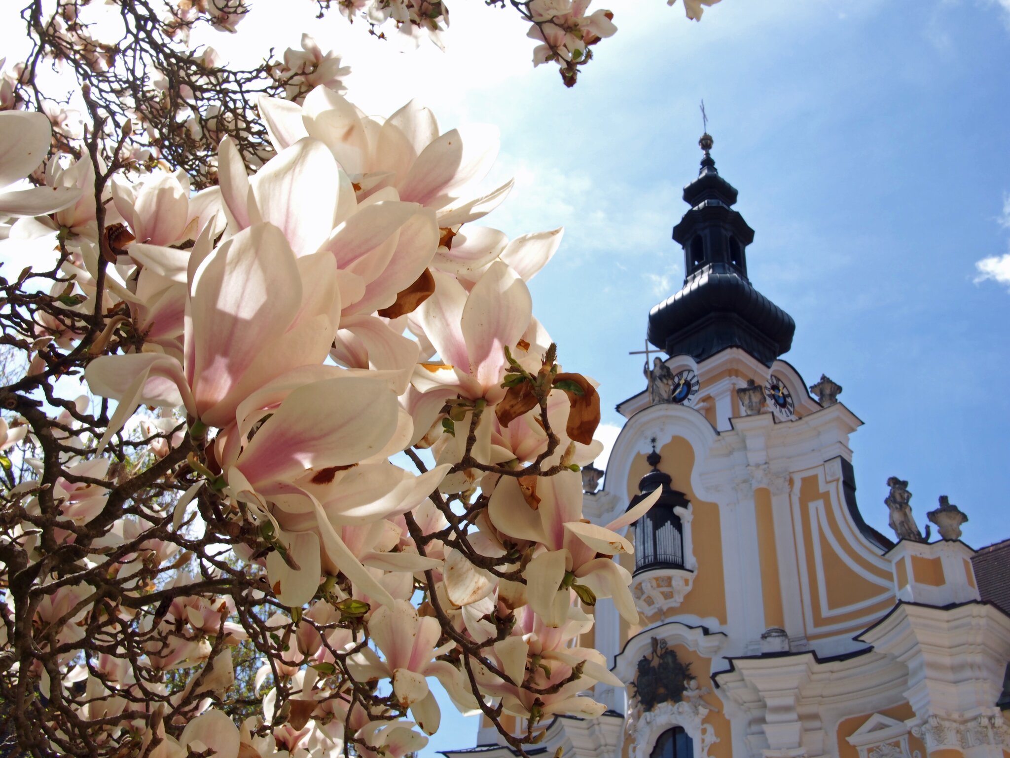 Stift Rein: Zisterzienserstift Rein Steiermark Frühling, Stiftskirche ...
