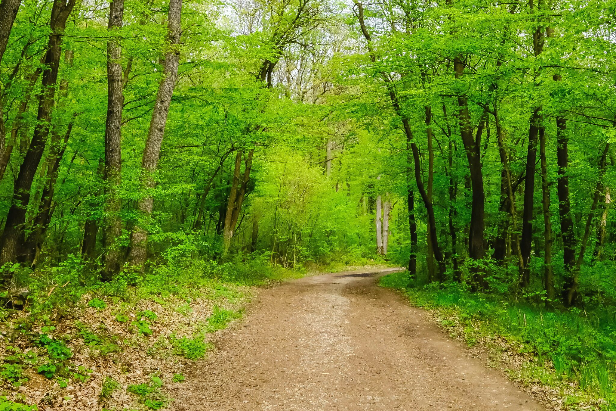 Wienerwald: Spazieren im Wienerwald - Liesing