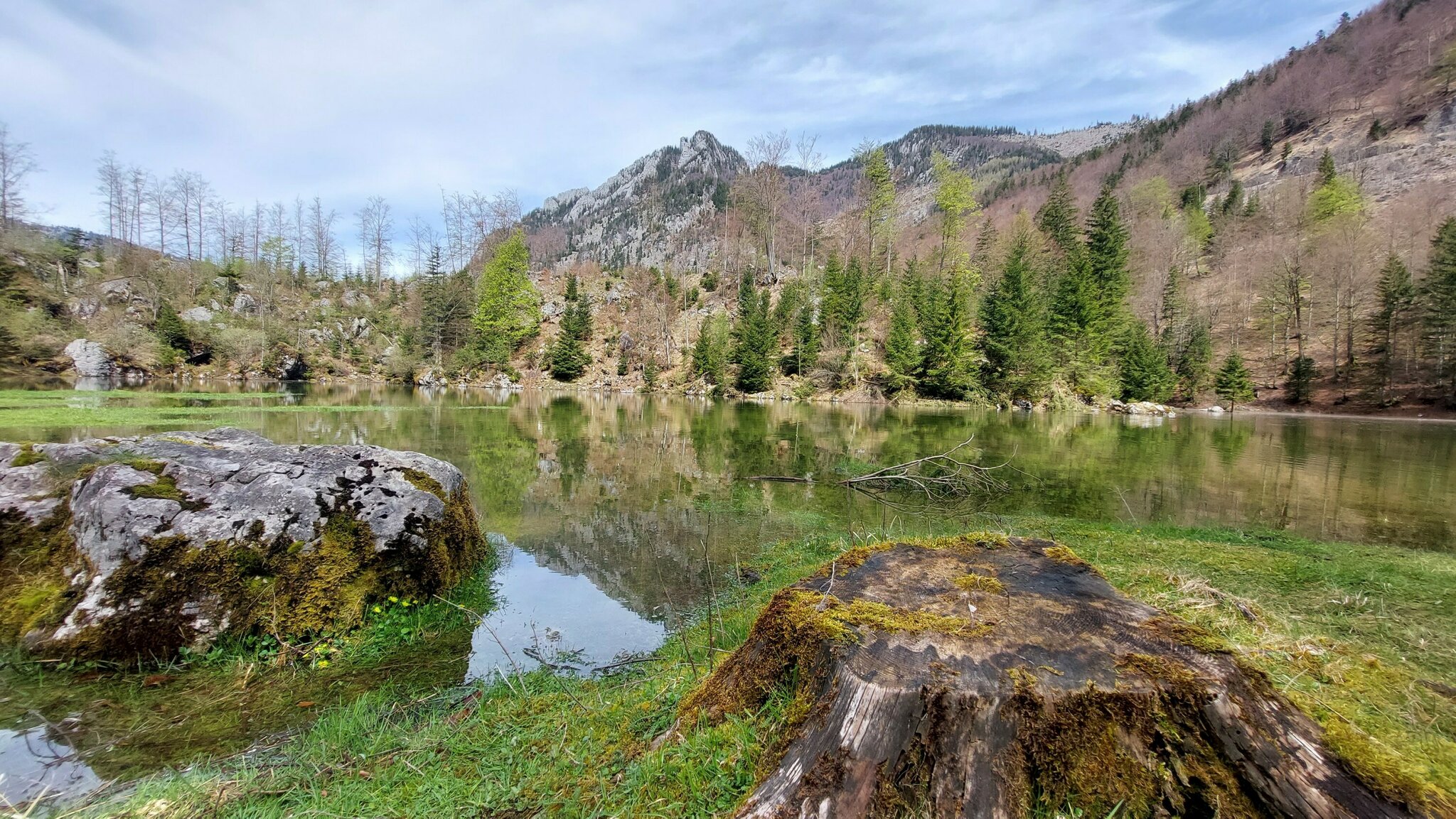 Der Wiesensee ist da!: Ein Naturwunder entsteht - Salzkammergut