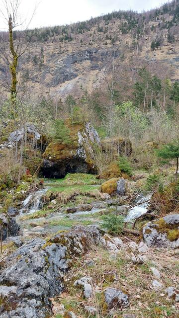 Der Wiesensee ist da!: Ein Naturwunder entsteht - Salzkammergut