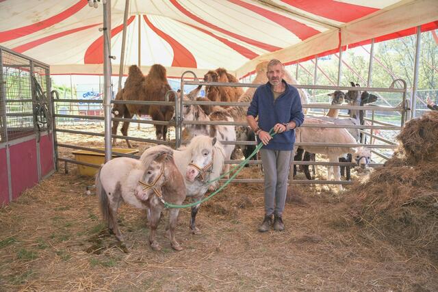 WIEN-MARGARETEN: CIRCUS SAFARI GASTIERT IN WIEN - Wien