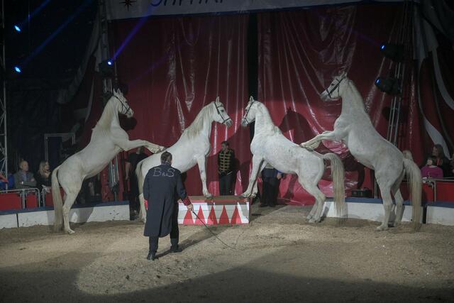 WIEN-MARGARETEN: CIRCUS SAFARI GASTIERT IN WIEN - Wien