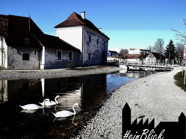 50 Jahre Stadt Traun: #dasistmeintraun(m) Fotowettbewerb der Galerie ...