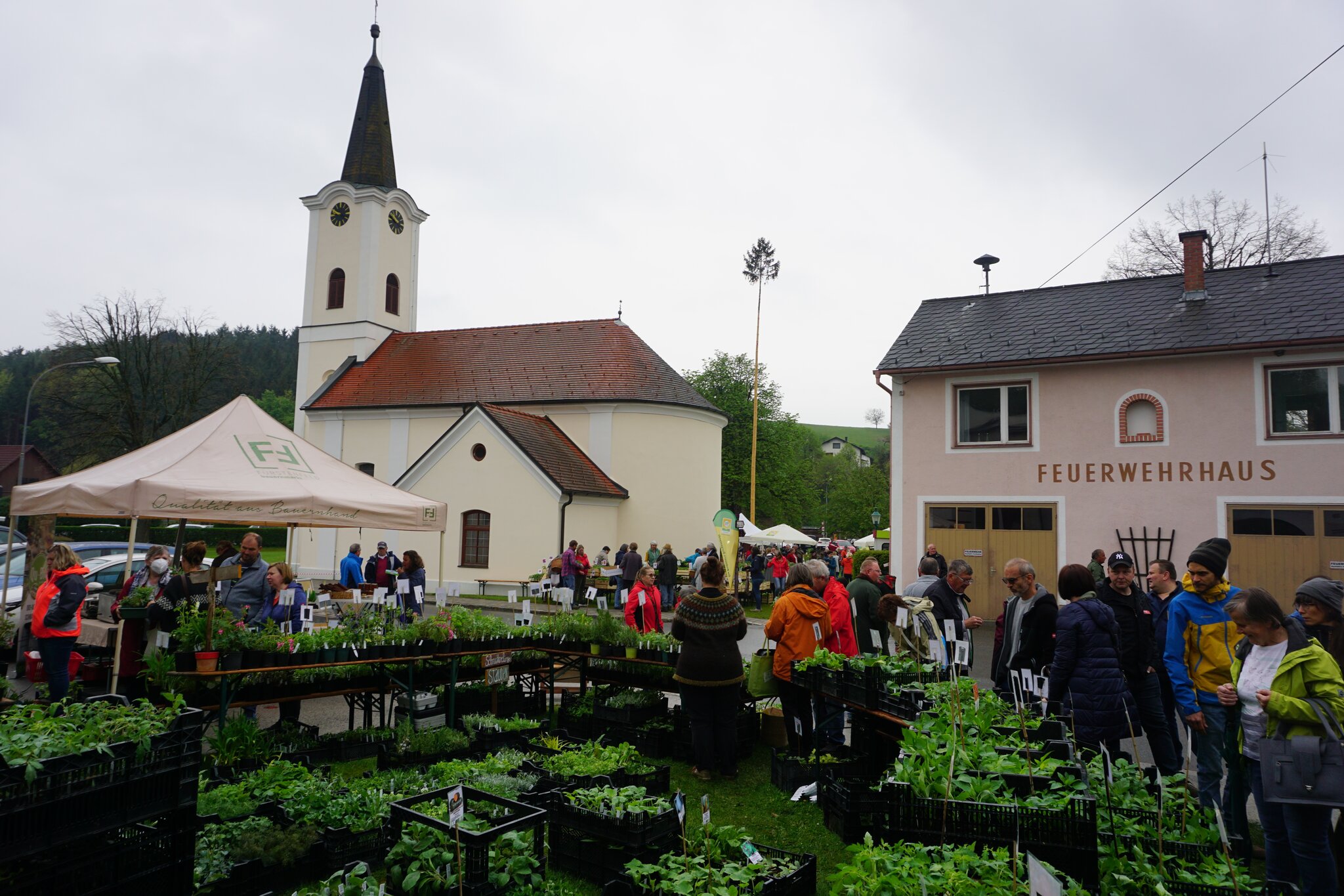 Am 13. Mai: Bio Jungpflanzen- und Bauernmarkt im Zentrum von Langeck ...