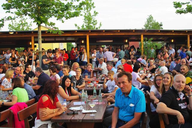 Römerdorf Wagna: Wagna startet in die neue Römern-Saison - Leibnitz