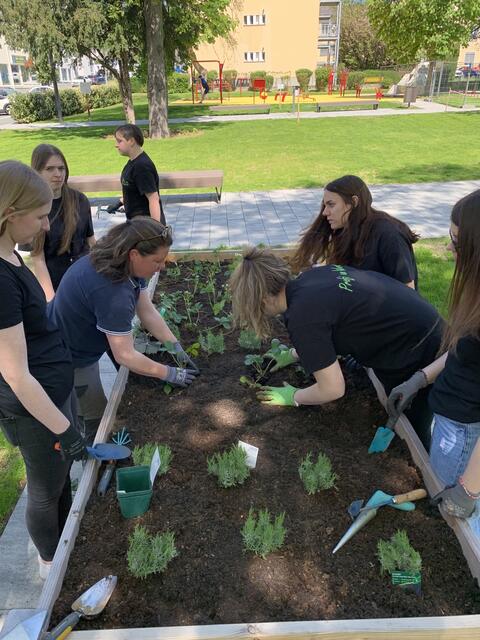 Urban Gardening – Garteln ohne Garten im Oberwarter Stadtgarten - Oberwart
