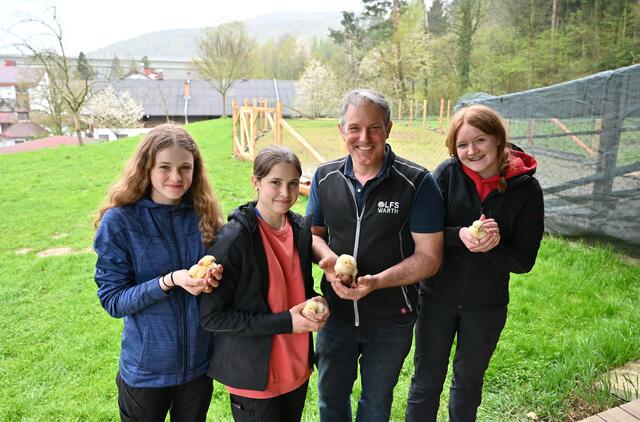 Weidehühner an Fachschule Warth: Schüler betreiben artgerechte ...
