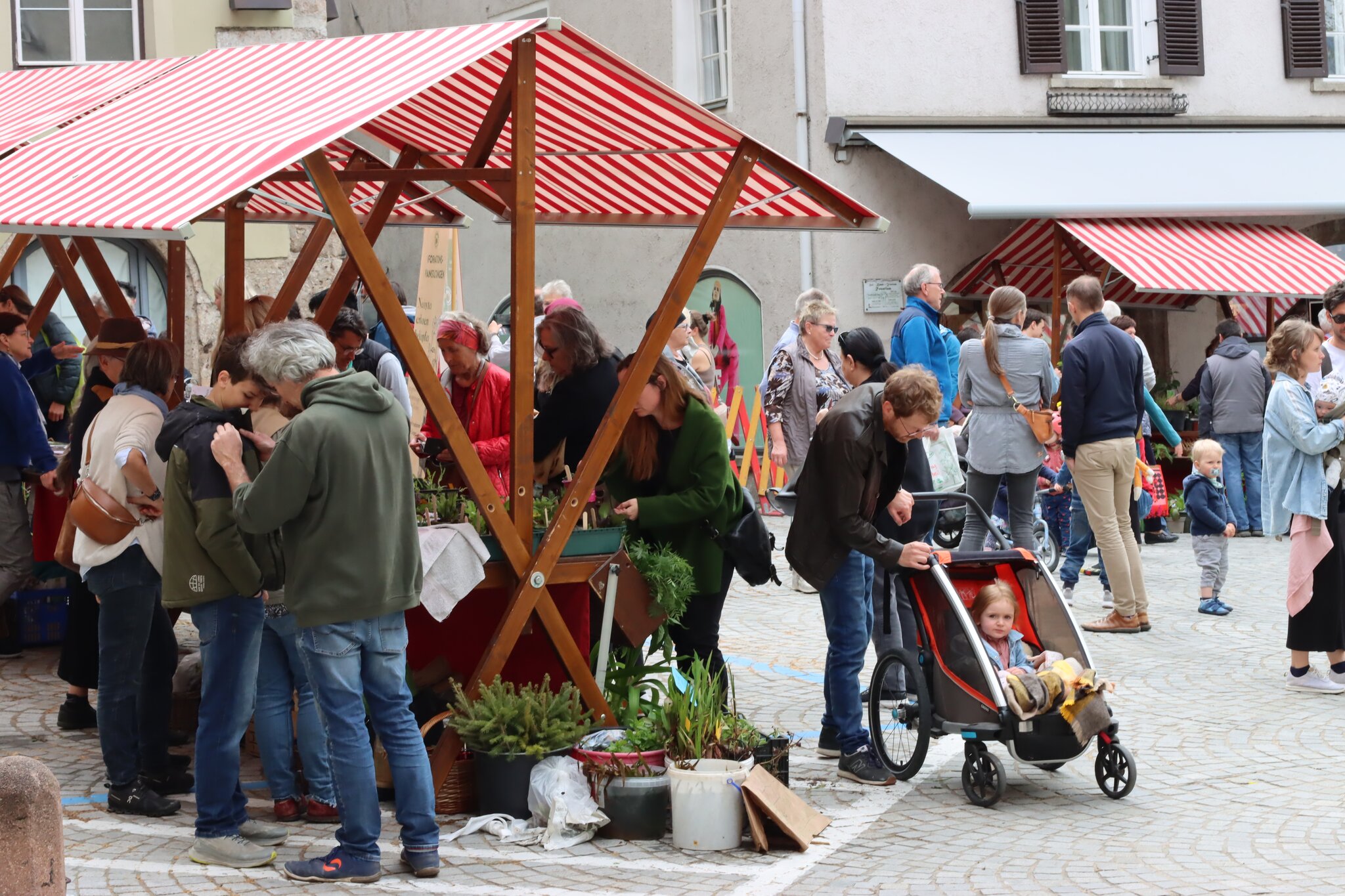 Alles was das Gärtnerherz begehrt: Jede Menge interessierte Hobbygärtner am Haller Pflanz- und ...
