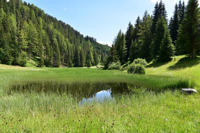 Naturpark Kaunergrat: Harbe Weiher wird wieder zum Leben erweckt - Landeck