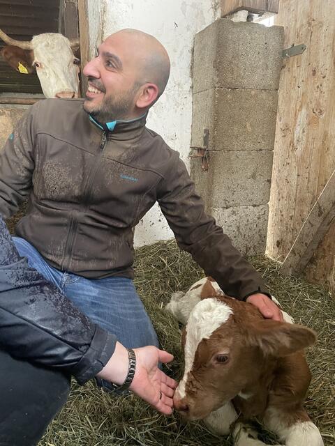 Workshop mal anders: BILLA Führungskräfte packen am Biohof Marksteiner mit an - Zwettl