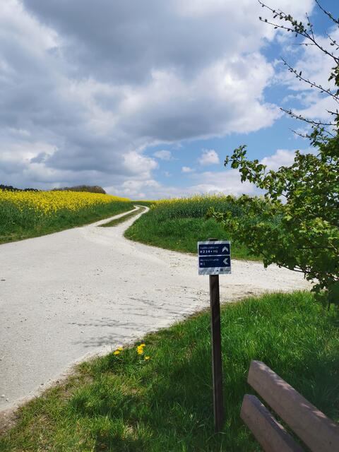 Wanderwege in Pattigham: "Wandern durch die Geschichte Pattighams" - Ried