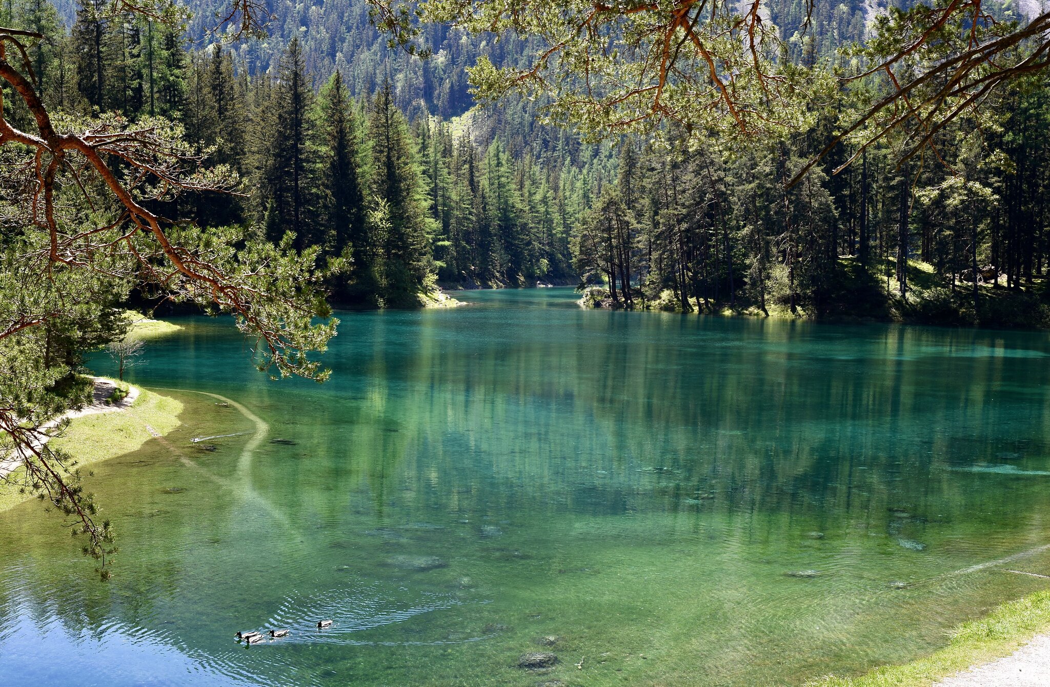 Gemeinsam unterwegs in der Natur: Regionautentreffen 1. Juni 2023 ...