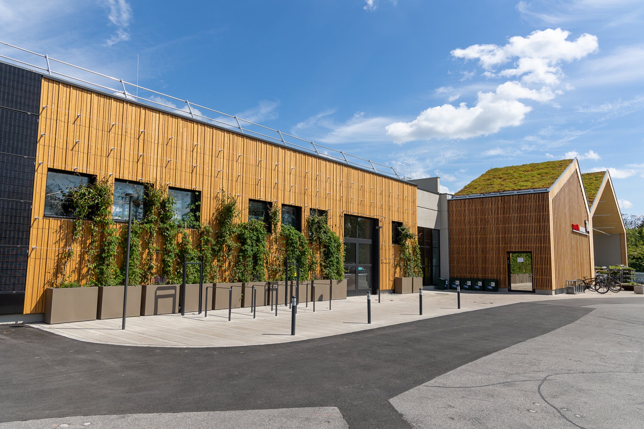 Billa Plus in Baden: Fassadenbegrünung wird zu exklusivem Bier - Baden