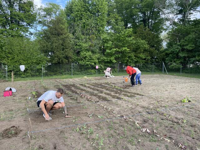 Simmering: Urban-Gardening-Beete am Zentralfriedhof offiziell eröffnet ...