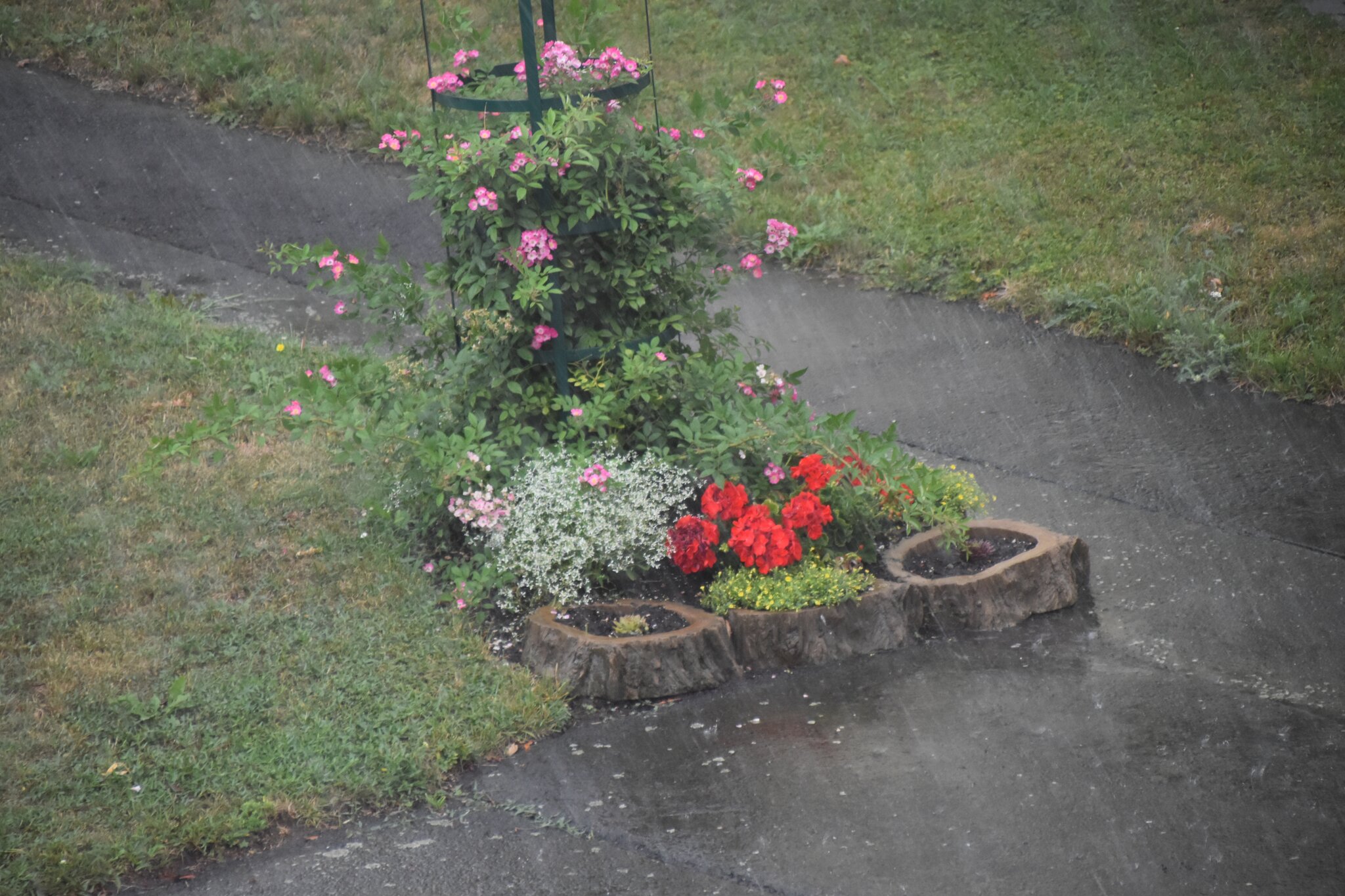 Es bleibt regnerisch: So wird das Wetter am Dienstag im Burgenland ...