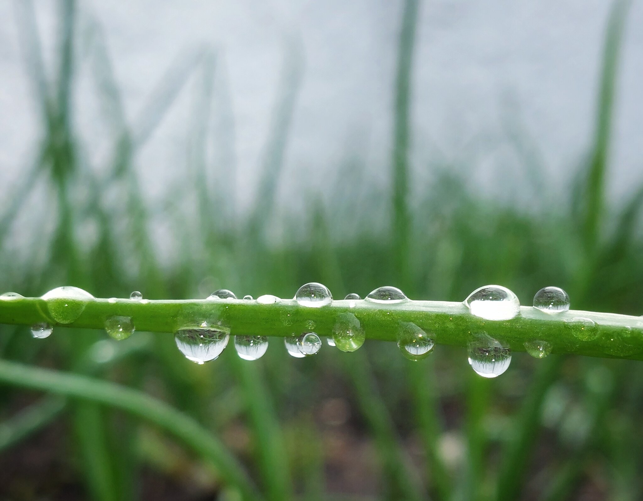 Bewölkt und teilweise regnerisch: So wird das Wetter am Mittwoch im ...