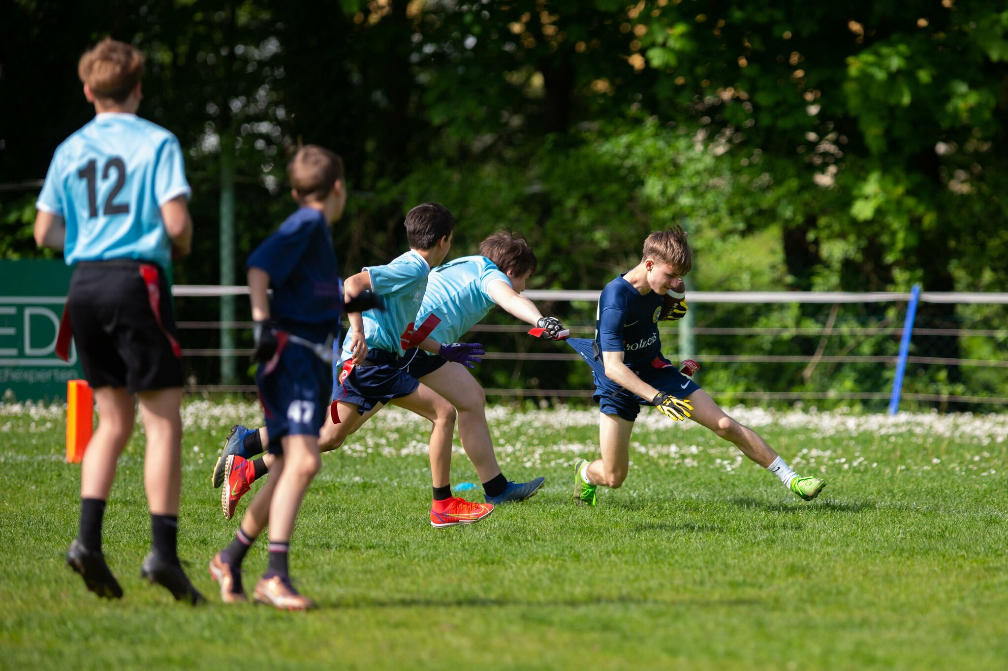 Flag-Football: Sieg der BG-Bab Warriors - Wiener Neustadt