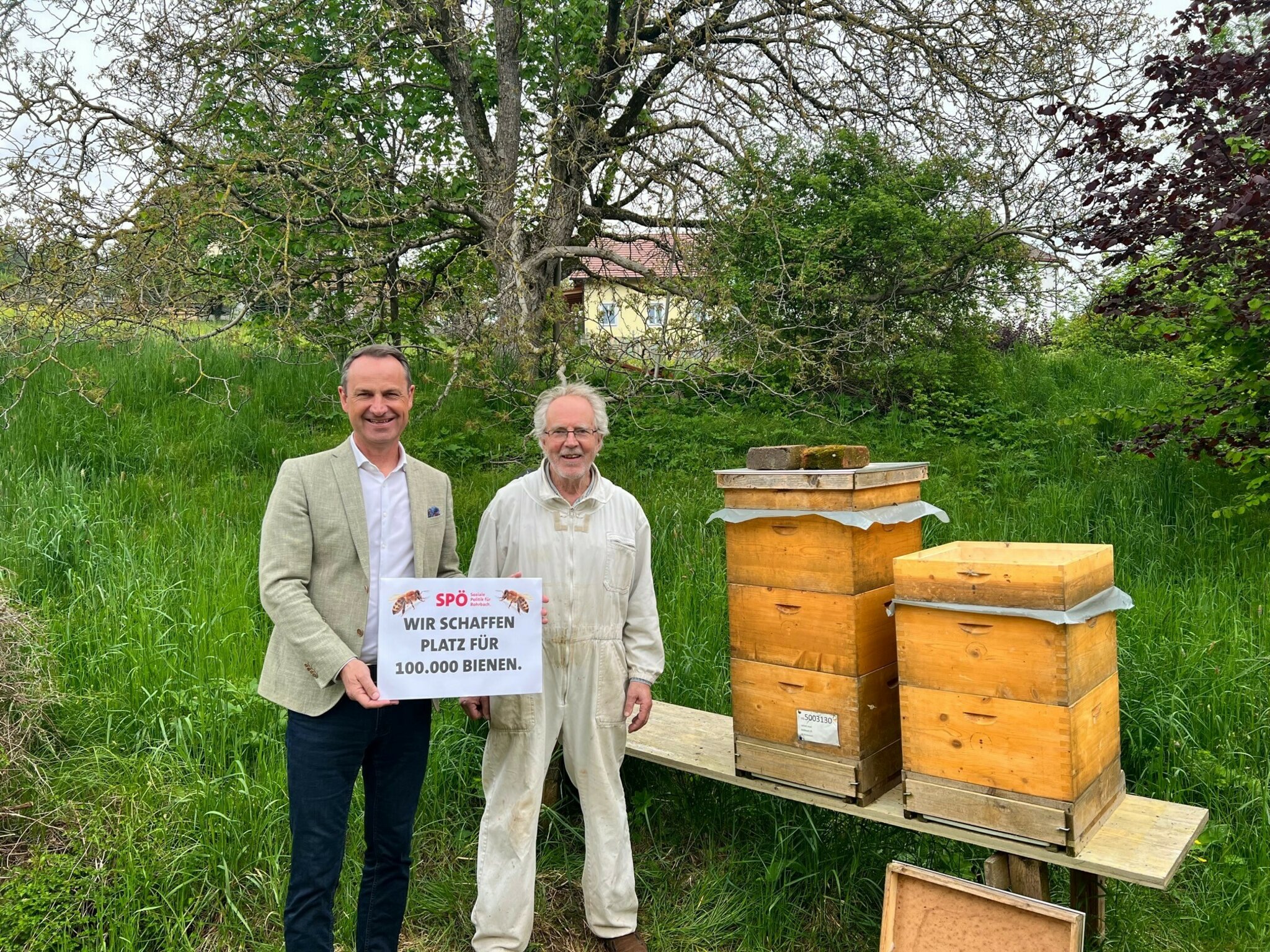 SPÖ Rohrbach-Berg: Tag der Biene - SPÖ schafft Platz für 100.000 Bienen ...