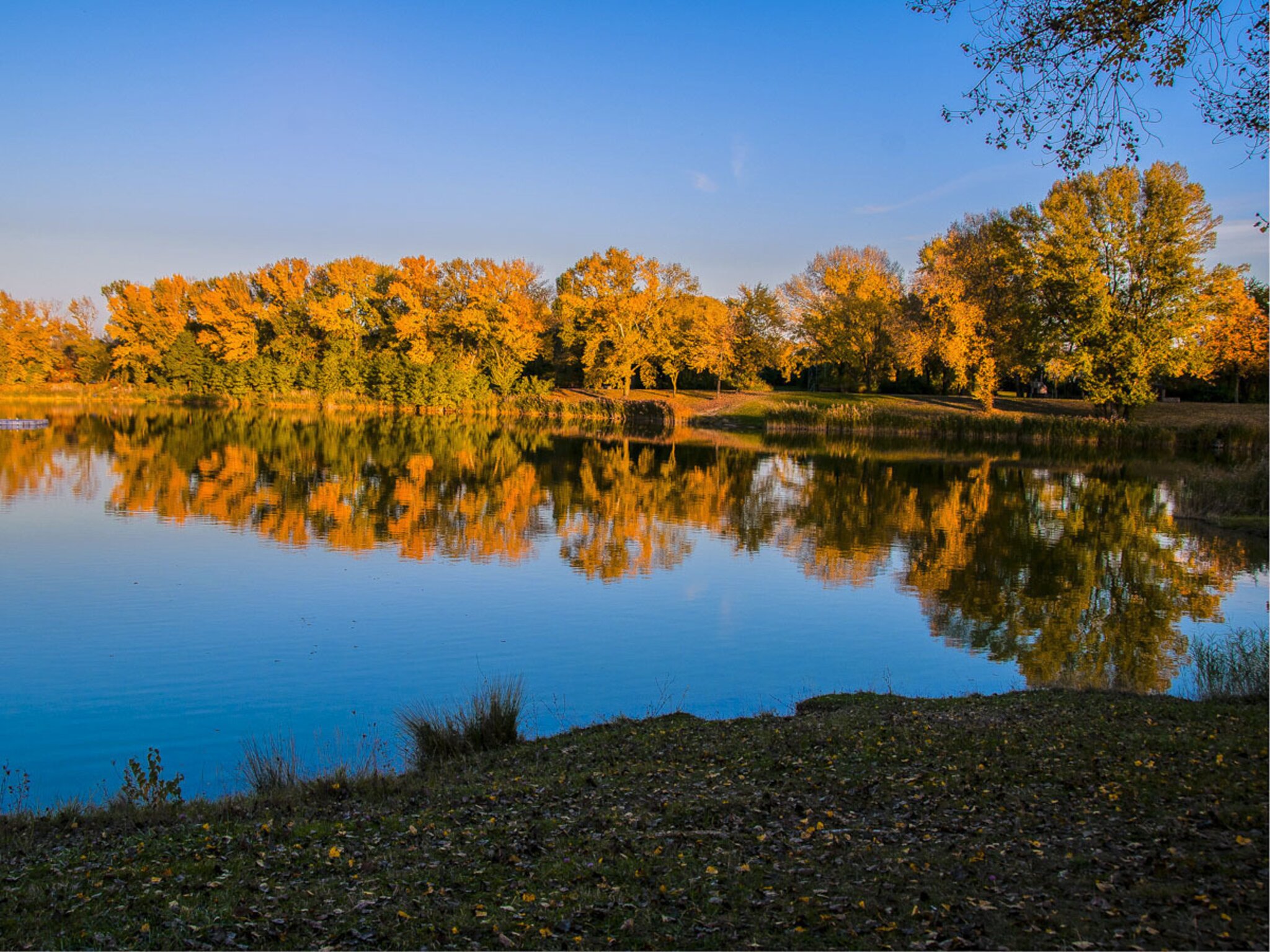 Badeunfall: Seeschlacht: Junger Mann wurde leblos aus dem Wasser ...