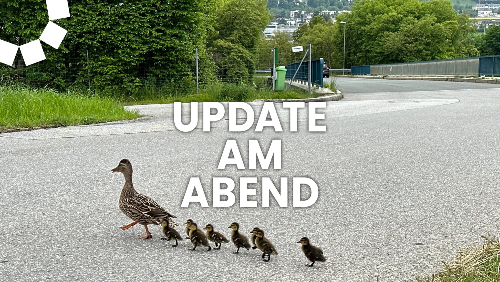 24. Mai: Enten auf Autobahn, Eisbaden, Kindersicherheitsolympiade und ...