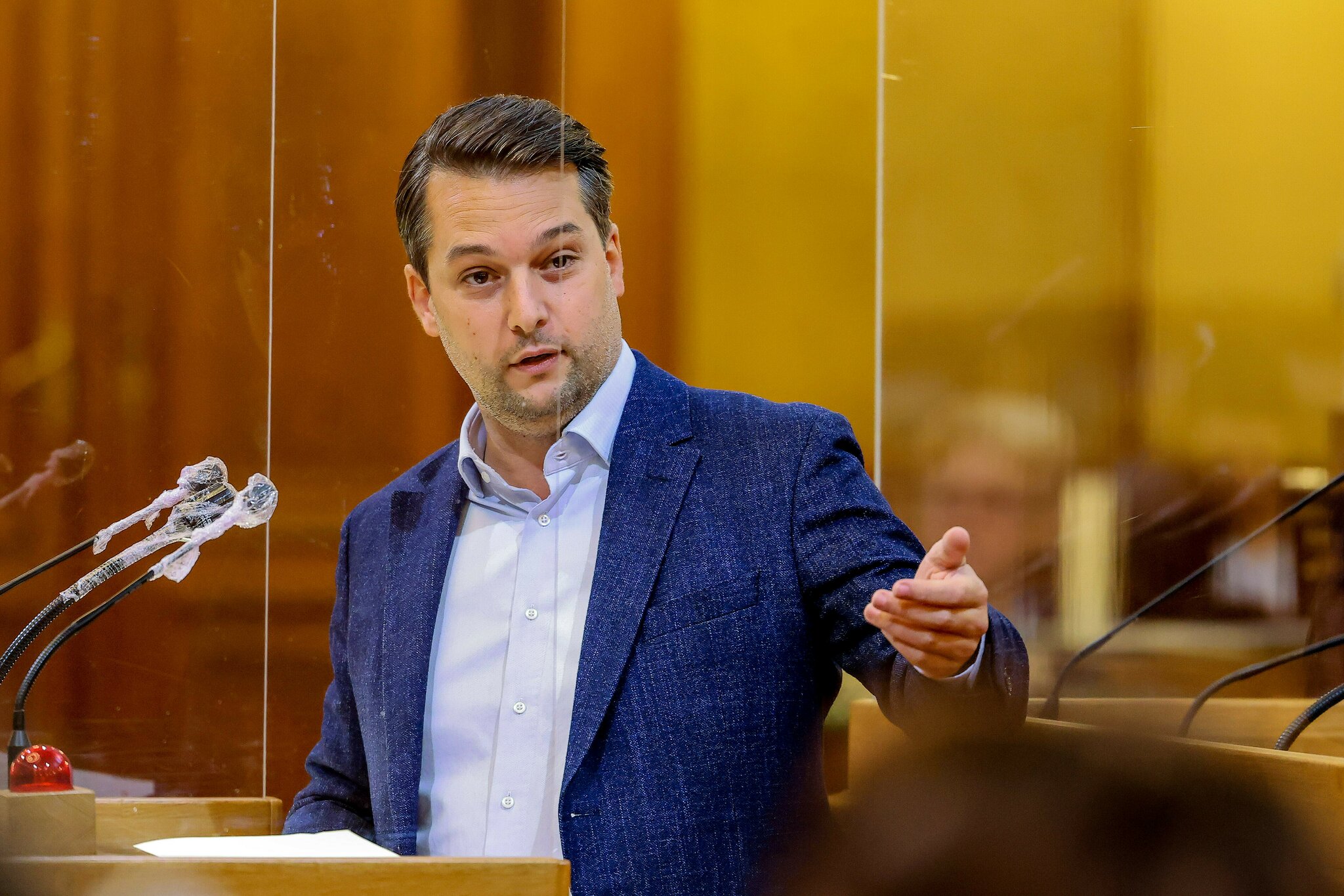 Ex-Bodyguard packt aus: FPÖ Wien schmiss Party im Rathaus während ...