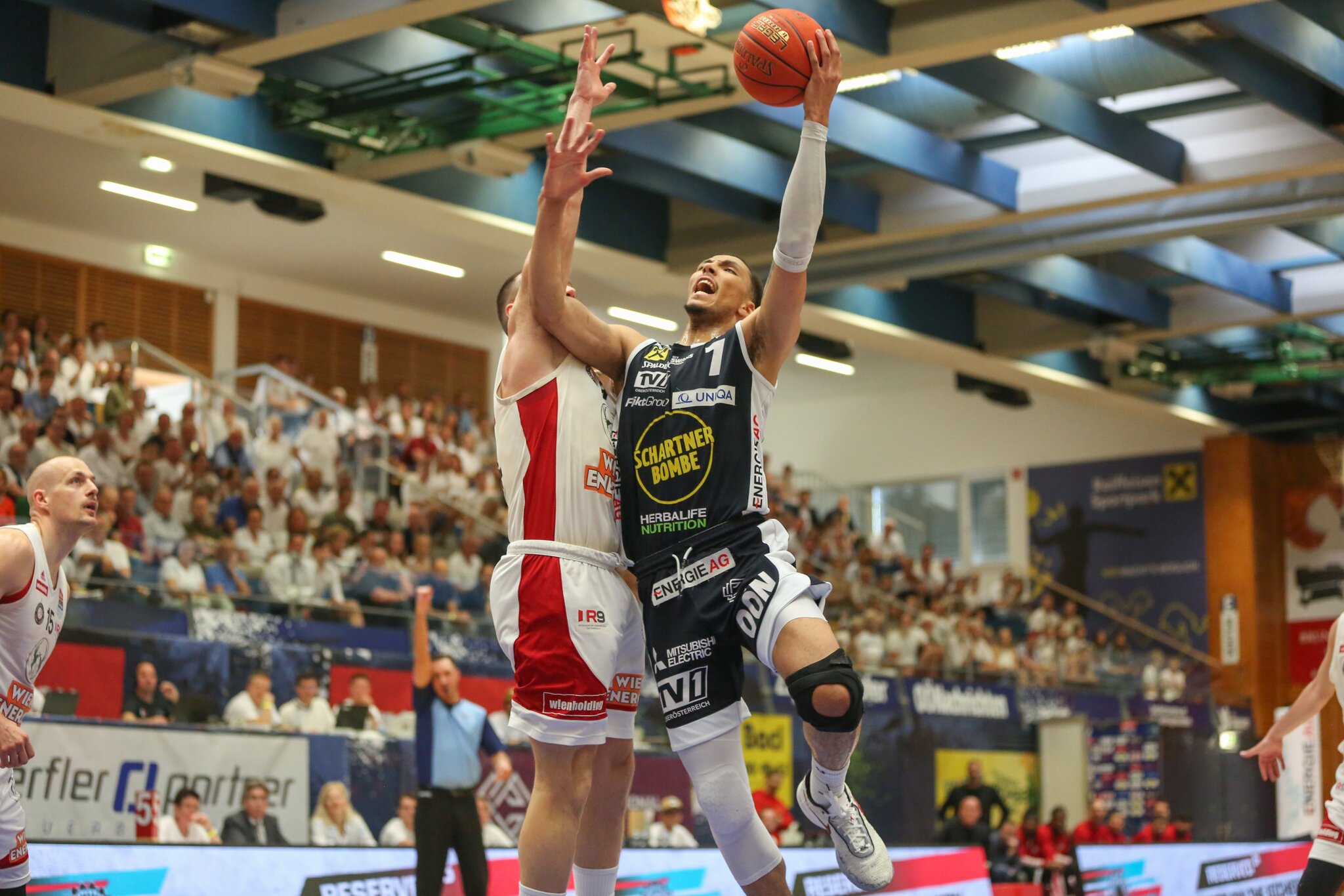 Basketball: Swans sind Meister - Salzkammergut