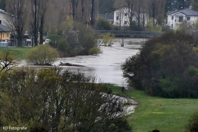 Fluss wird zur Freiluftklasse: Liesing-Fluss erstrahlt nach ...