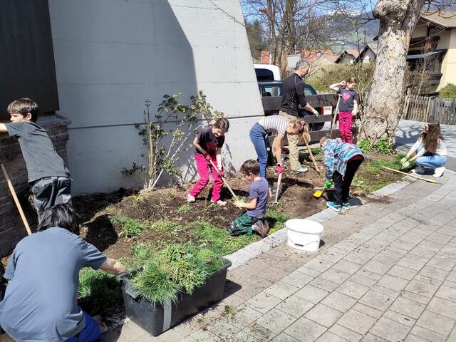 Gemeinschaftlich pflanzen: Essbare Gemeinde Matrei gedeiht gut - Stubai ...