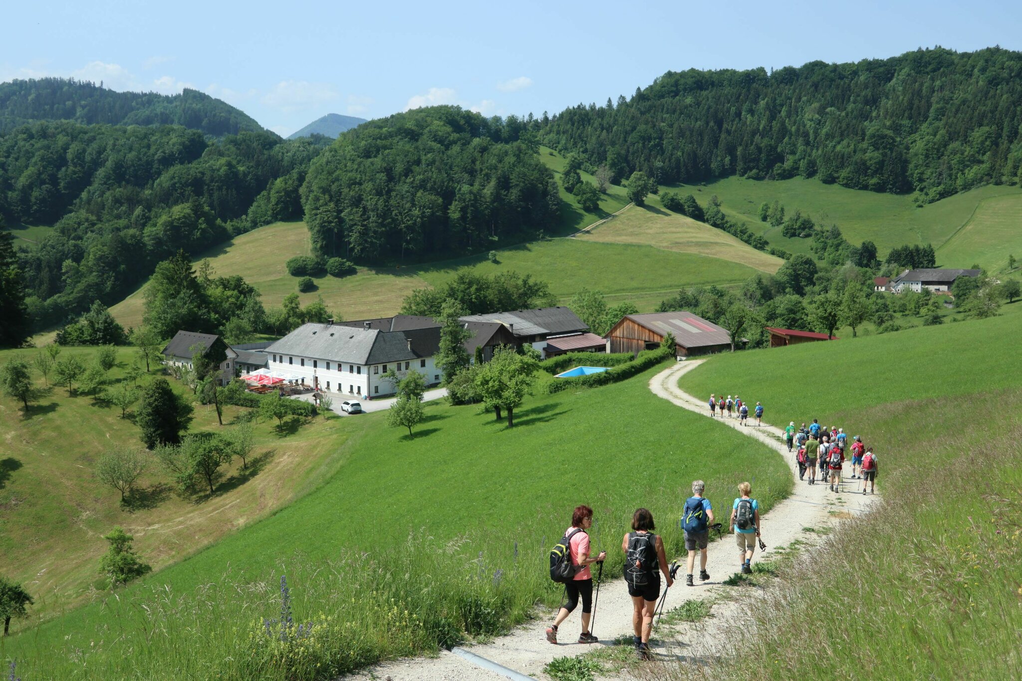 Naturfreunde Enns: Wanderung zwischen Jochberg und Rebenstein - Enns