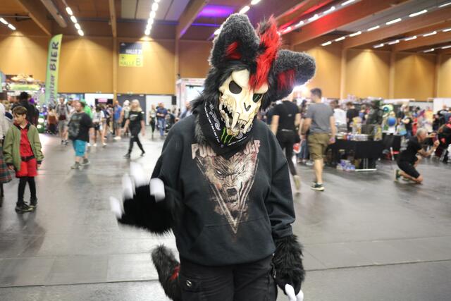 Austrian Comic Con 2023: Österreichs größtes Popkultur Event - Wels ...