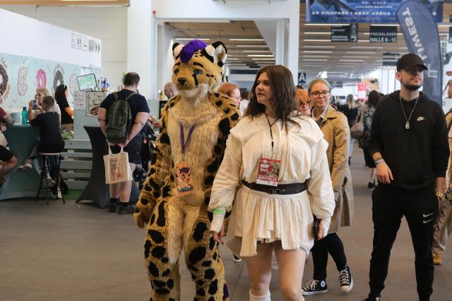 Austrian Comic Con 2023: Österreichs größtes Popkultur Event - Wels ...