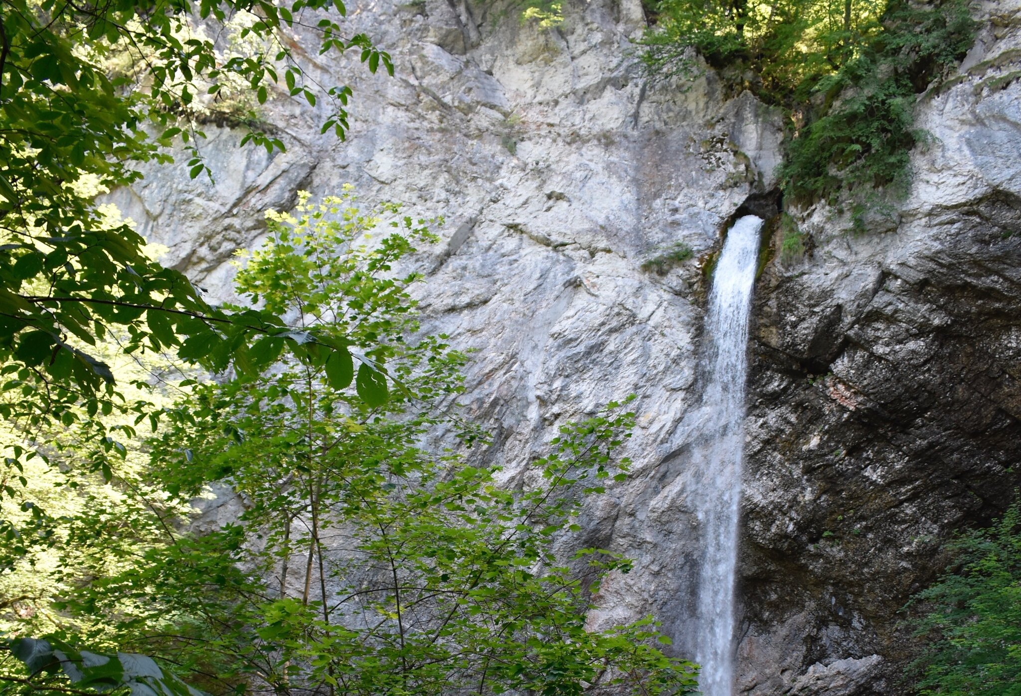Wildensteiner Wasserfall: Nachhaltige Infrastruktur für Naturjuwel ...