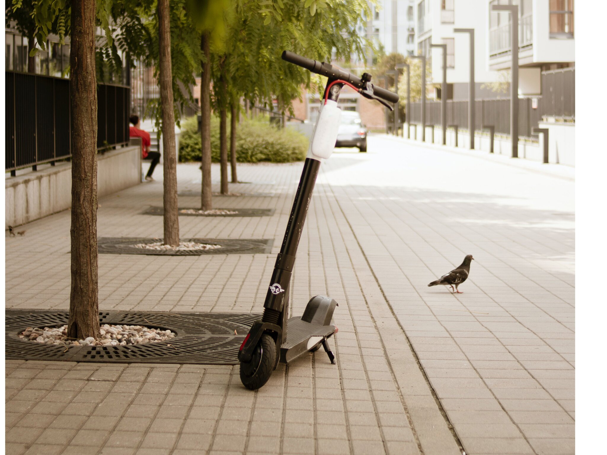Sicher ans Ziel mit dem E-Scooter: Praktische Tipps und die wichtigsten rechtlichen Hinweise für ...