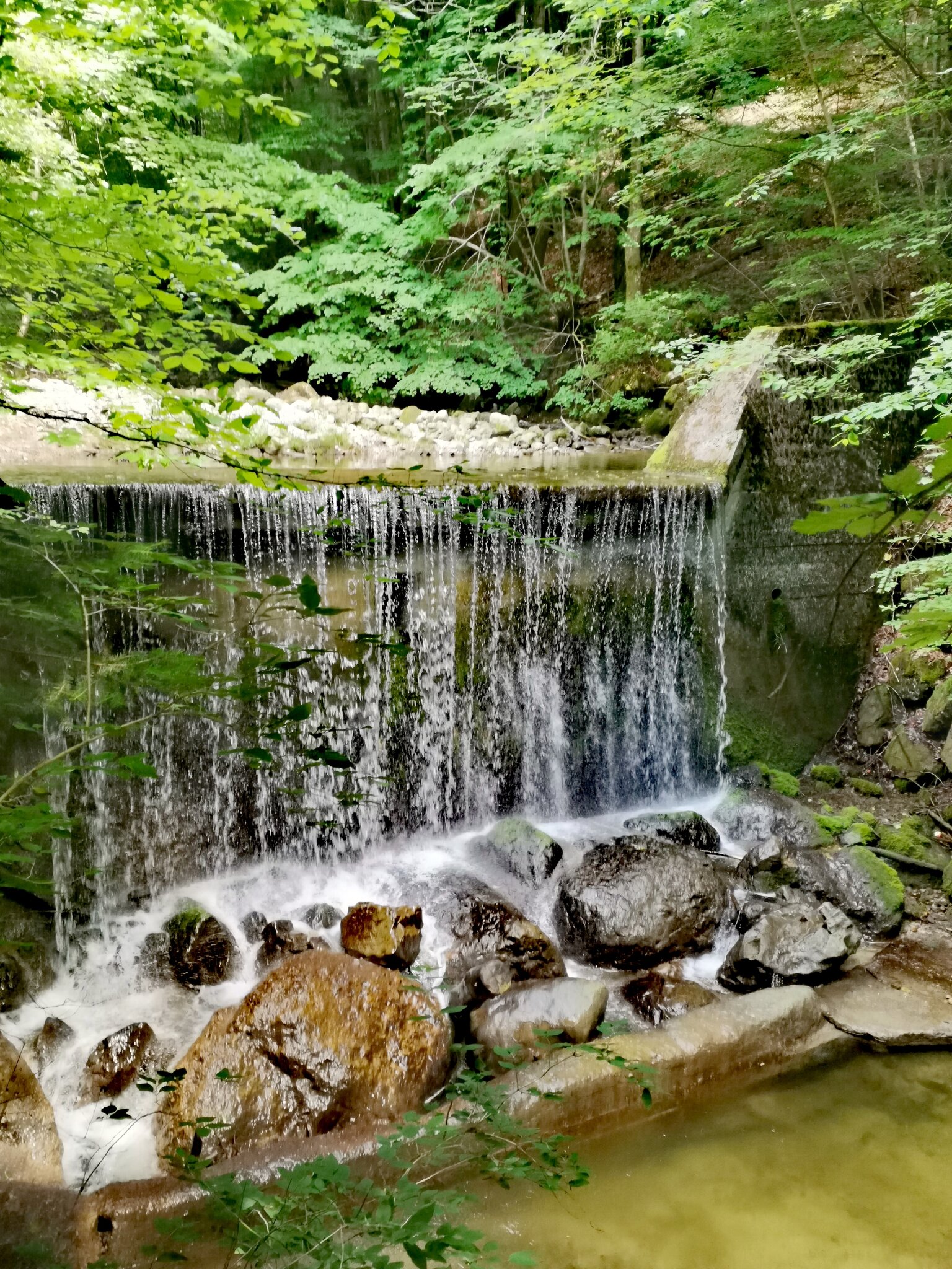 Entlang vom Alterbach auf den Heuberg - Salzburg-Stadt