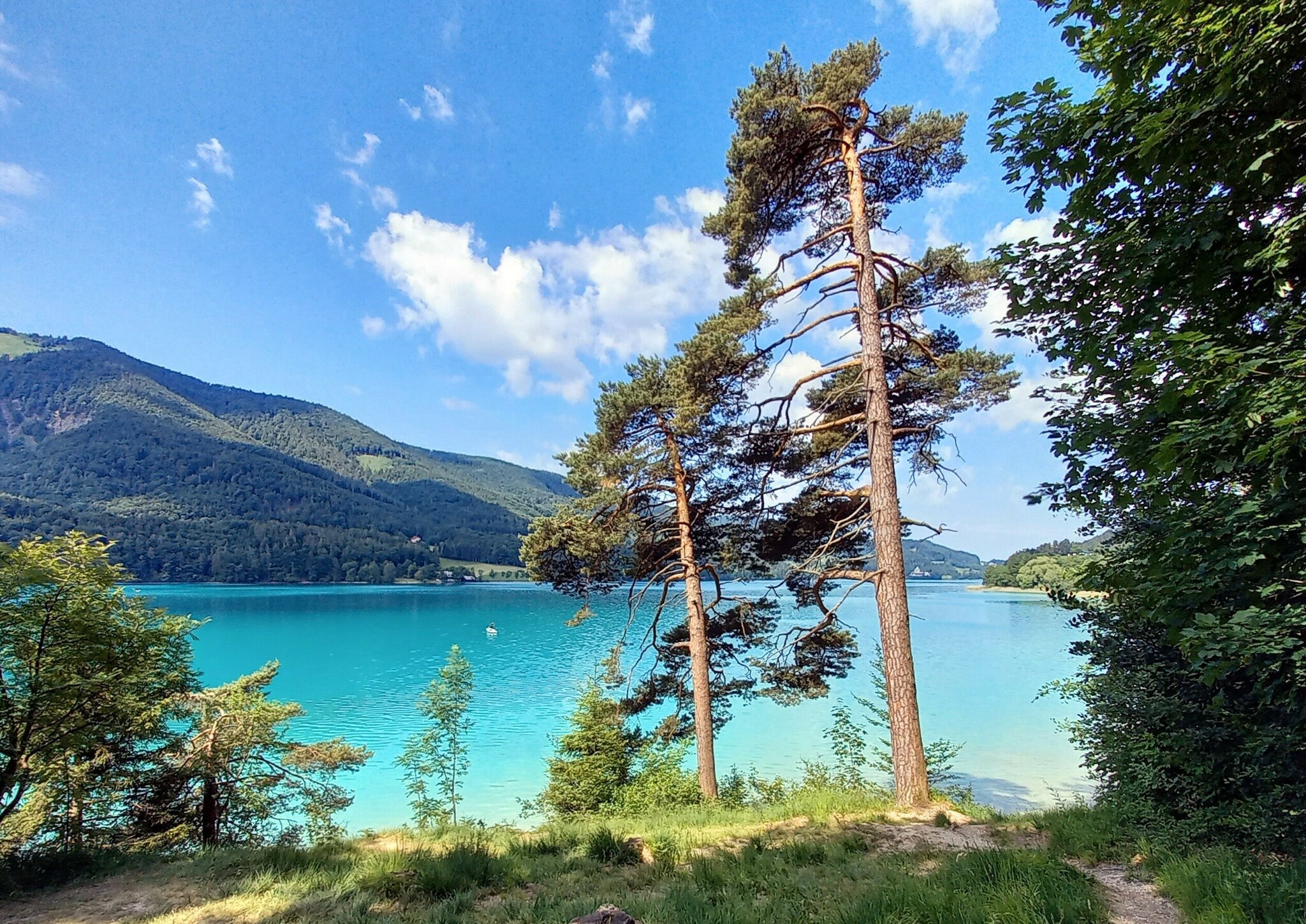 Salzburg ist so schön!: Fuschlsee Rundwanderweg - Salzburg