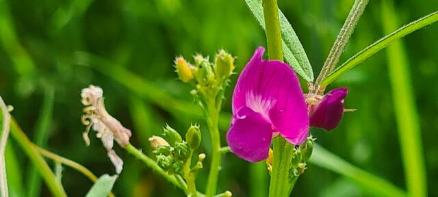 Was einem so alles unter kommt im Laufe des Tages: Neuer Tag, neue ...