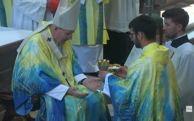 Pfarrer aus Schöngrabern: Michael Semmelmeyer ist Priester (mit Video ...