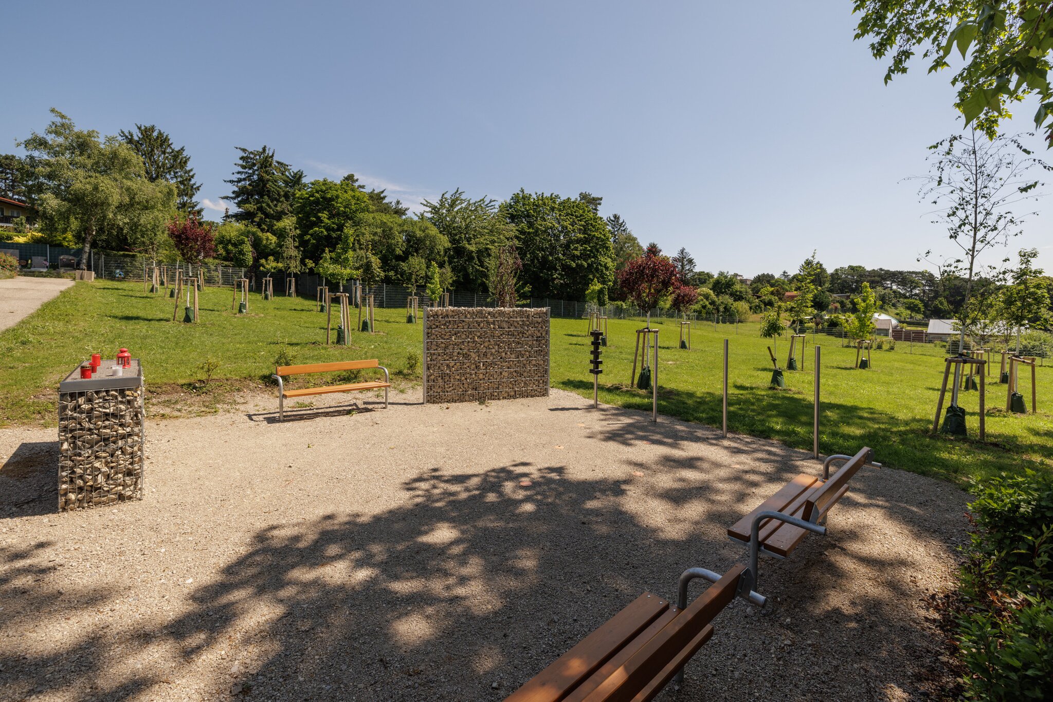 Hernals: Der neue Waldfriedhof hat jetzt 32 Bäume dazubekommen - Wien