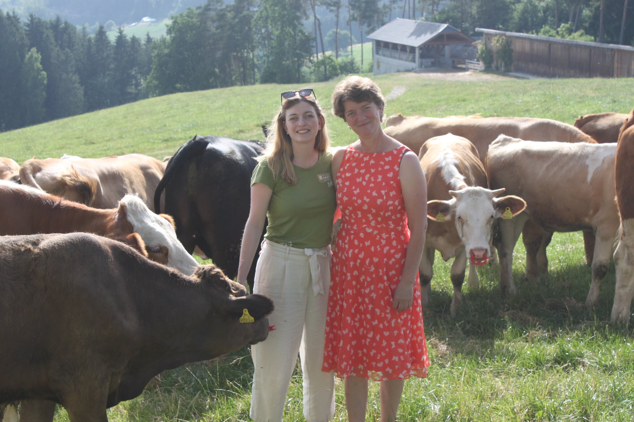 Biohof Lutschauer In Bad Zell Wo Pflanzen Tiere Und Menschen In Biohof Lutschauer In Bad Zell Wo Pflanzen Tiere Und Menschen In