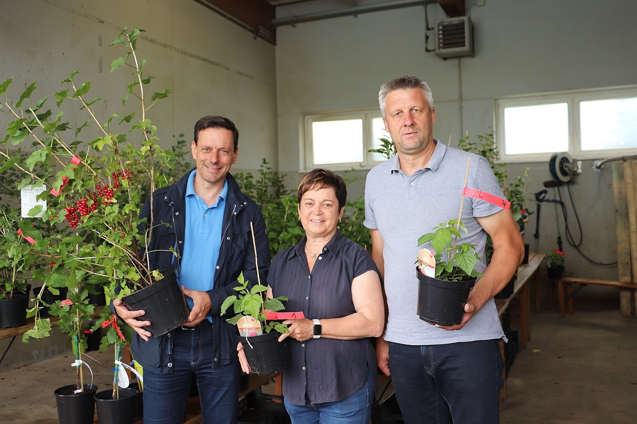 Gemeinde förderte Beerensträucher: Beerige Aktion in Dobl-Zwaring ...