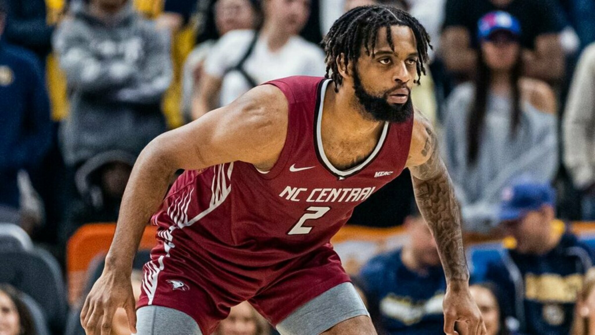 Basketball: Kristopher Javon Monroe nächster Neuzugang bei den Gunners ...