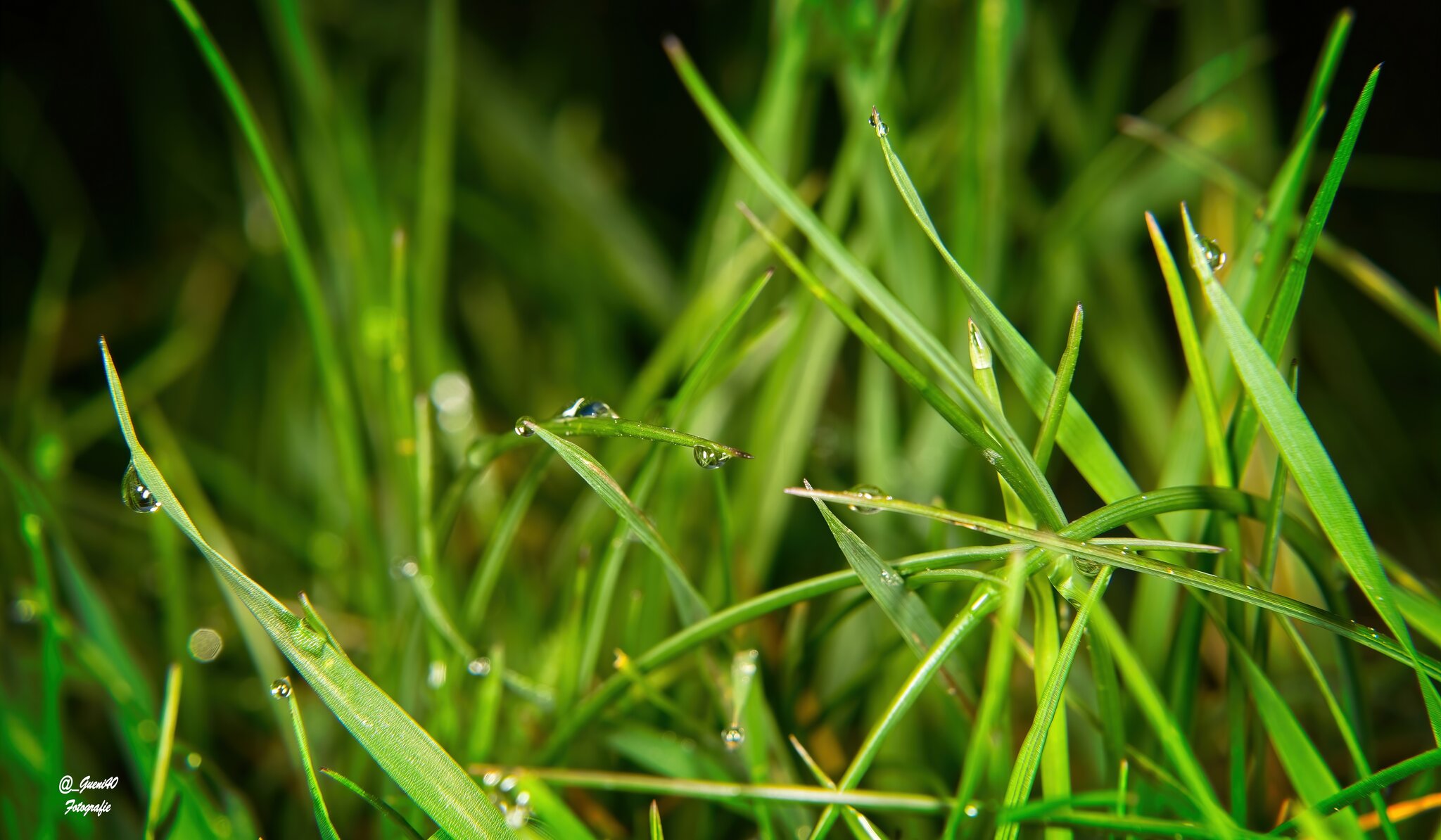 durch unsere schöne Natur.........: Das schöne Leuchten der Natur nach ...