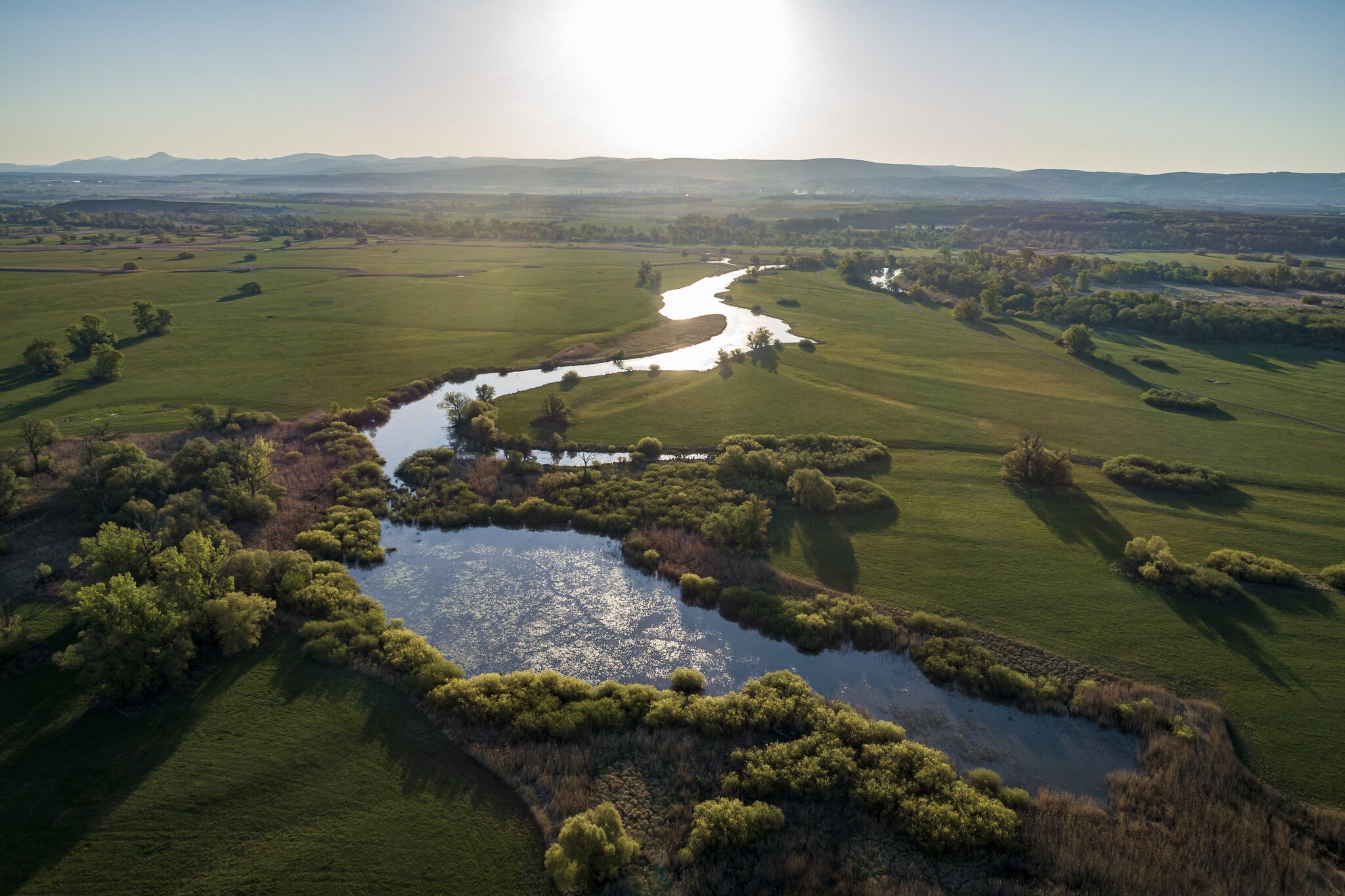 TV-Tipp: "Die March – Ein Fluss wie damals" auf Servus TV - Gänserndorf