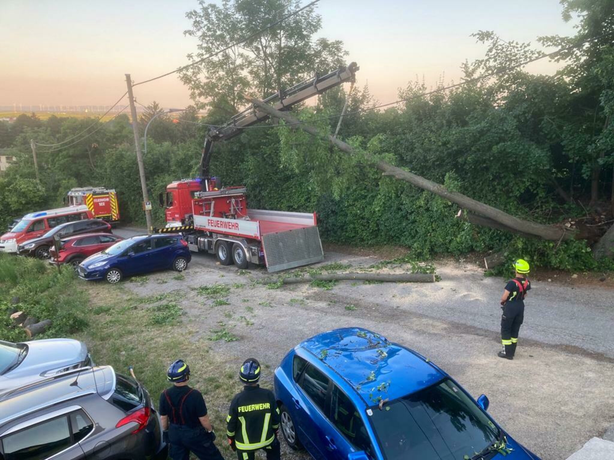 Feuerwehreinatz: Sturm: Baum umgestürzt in der Waldgasse in Baden - Baden