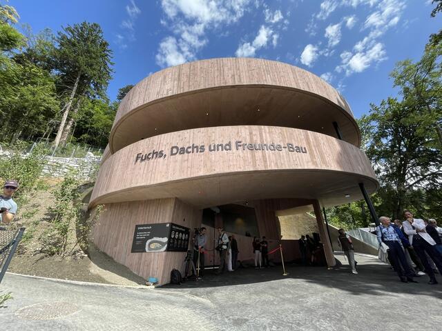 Alpenzoo Innsbruck: Die Eröffnung des neuen Fuchs- und Dachsbaus ...