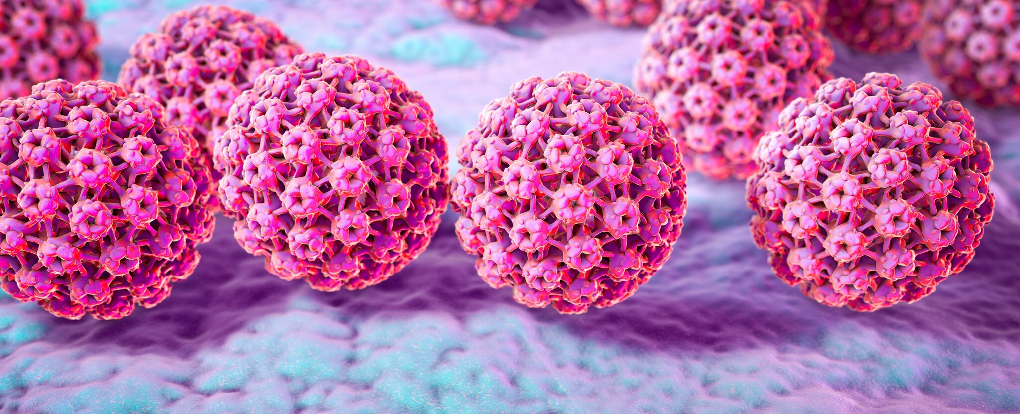 40 Prozent Mehr Mehr Wiener Lie en Sich Heuer Gegen HPV Impfen Wien