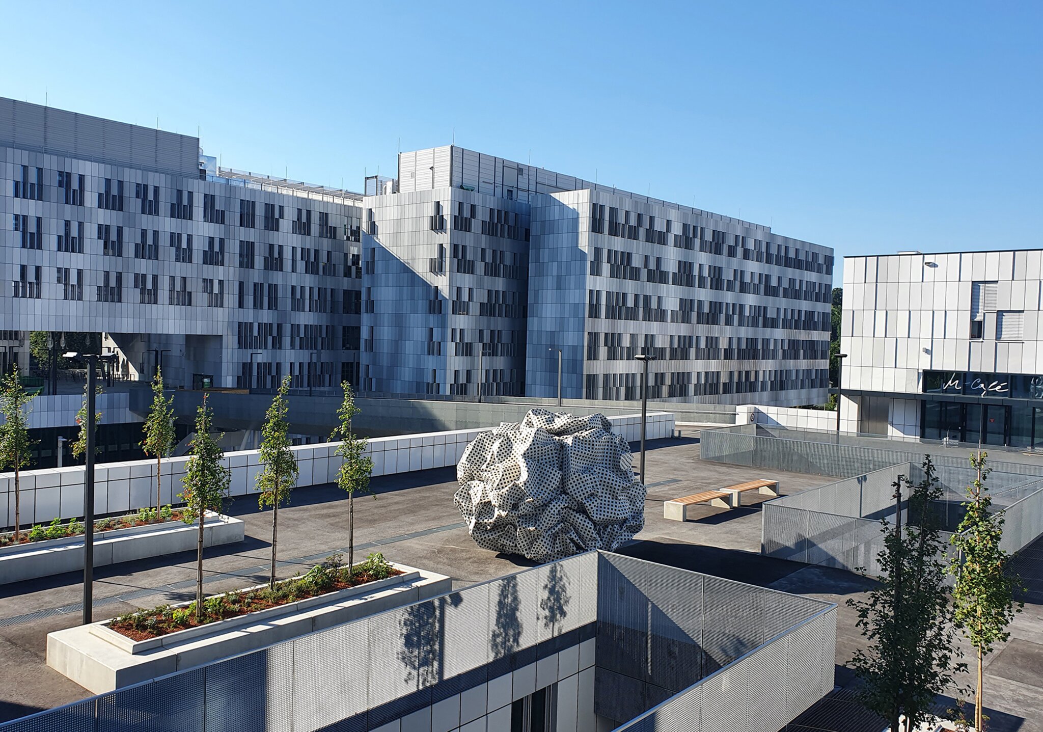 Rektoratswechsel: Andrea Kurz wird erste Frau an der Spitze der Meduni ...