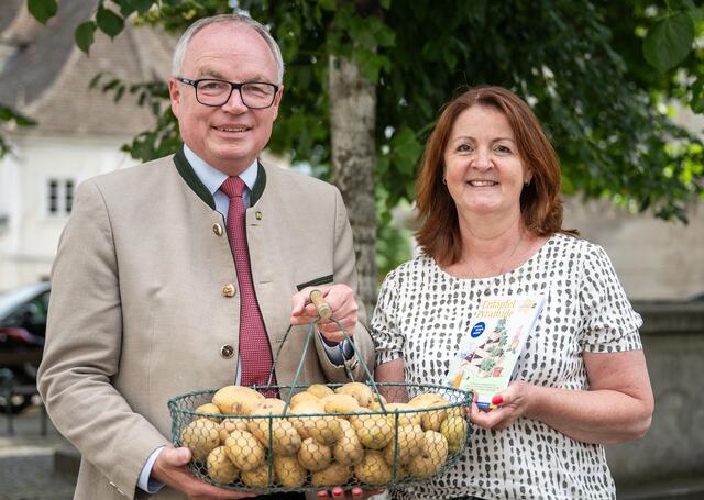 Erntezeit in NÖ: 5.500 Erdäpfelpyramiden liefern reiche Ausbeute - Niederösterreich