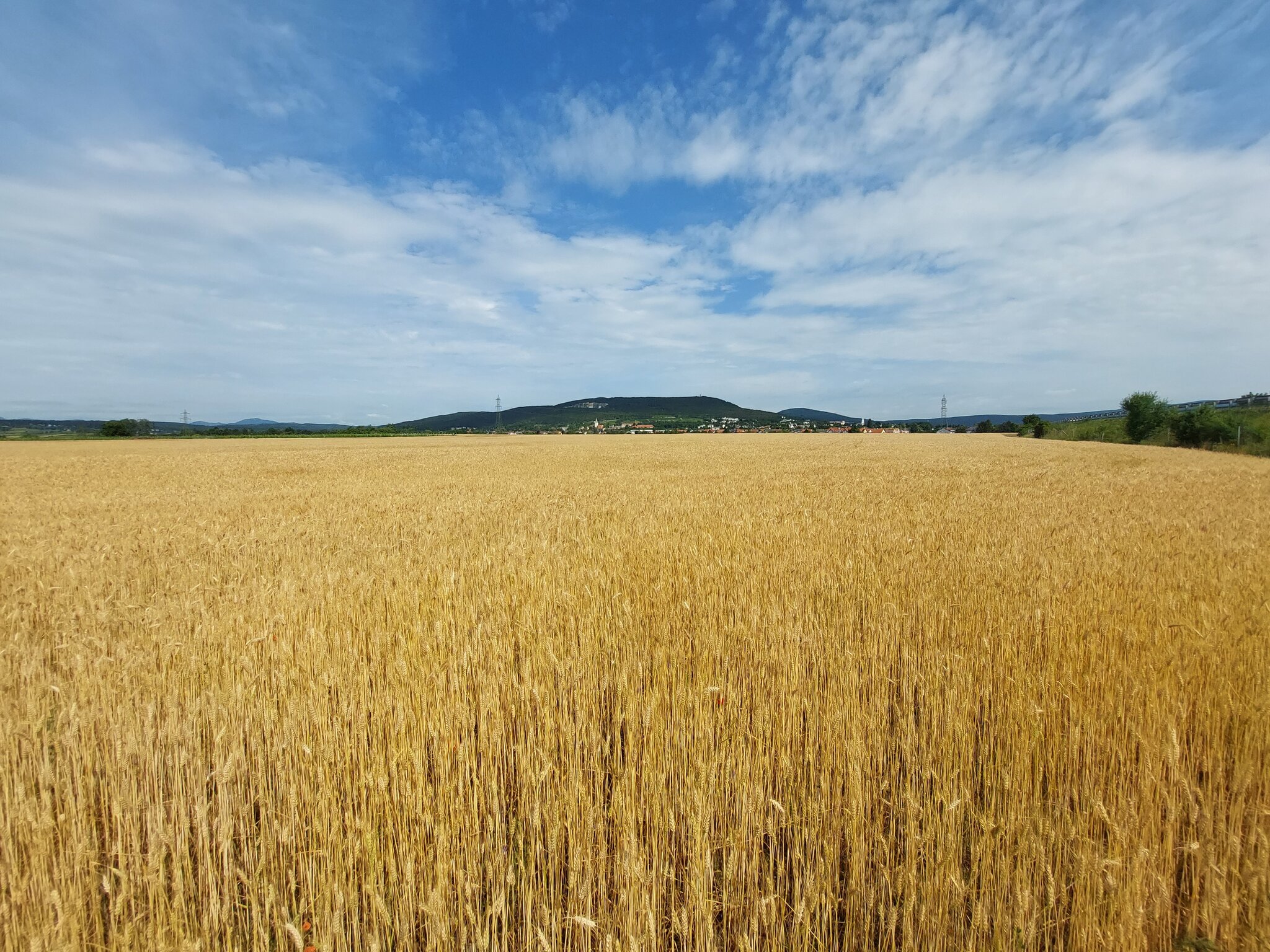 Wetter NÖ: Obacht, denn Niederösterreich wird immer heißer und heißer ...
